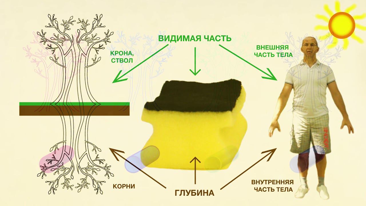 Учиться, чтобы жить