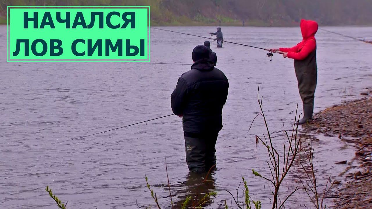 Стартовал сезон любительской рыбалки на симу