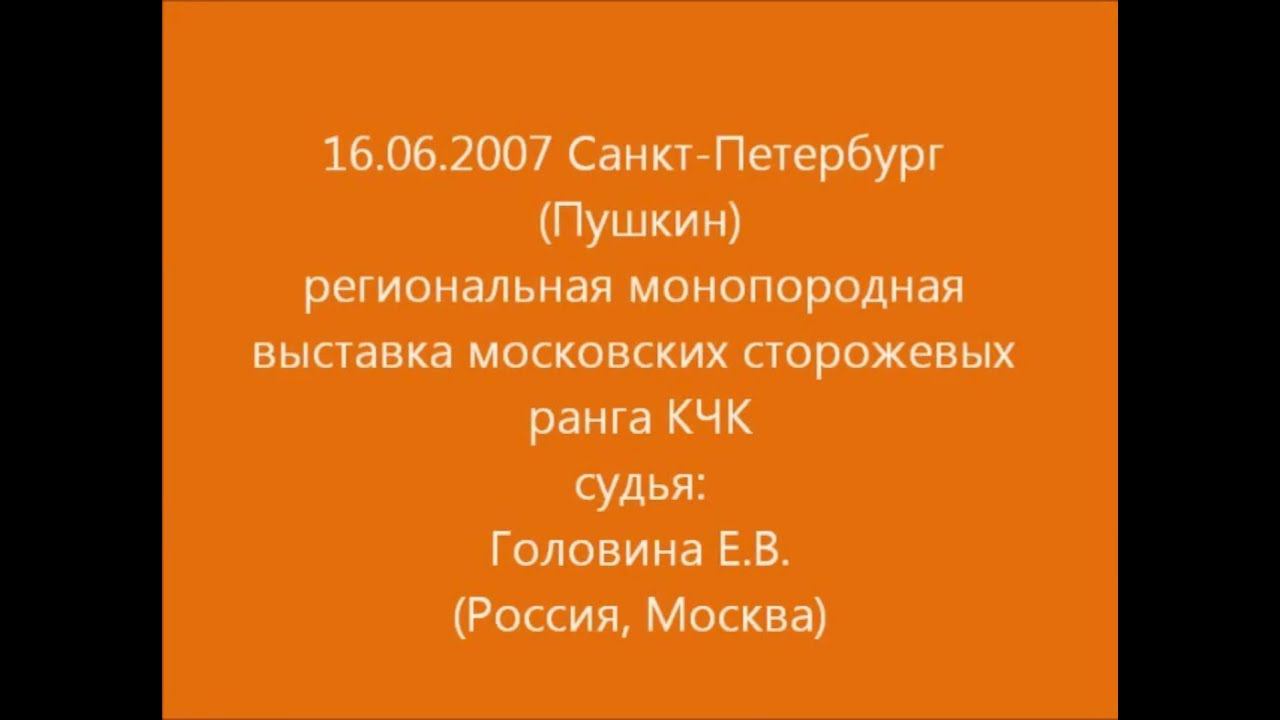 Монопородная выставка московских сторожевых, ранга КЧК. 16.06.2007