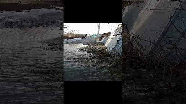 Половодье 07.04.2020 Аллея 7