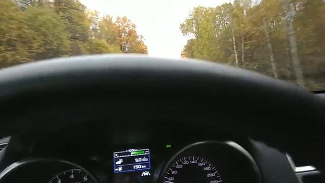 14.4. Как не сбить лося на загородной дороге_