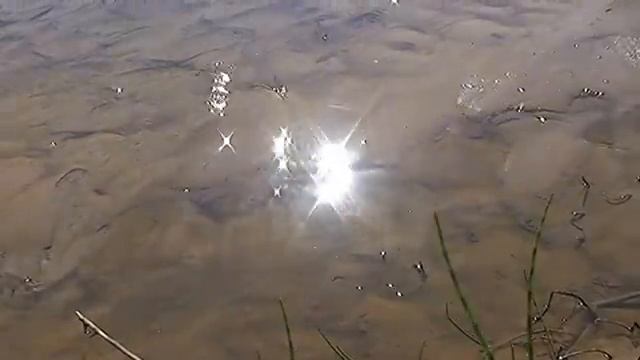 Провинциальная столица. К 75-летию г. Шарья.