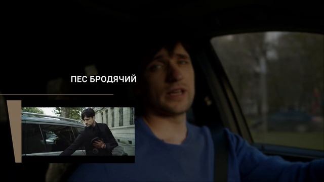 05. Акустика LIVE. Дмитрий Колдун - Пёс бродячий