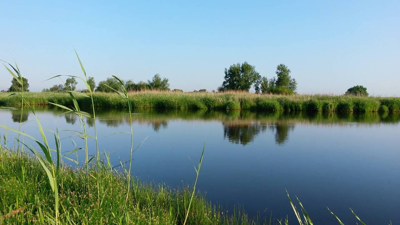 Лещи подошли.#рыбалка