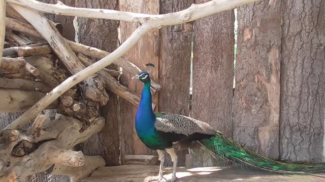 Геленджик 2021 11 серия