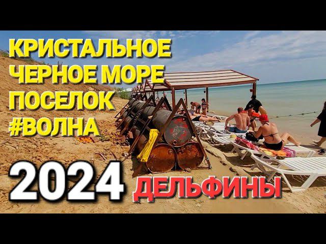 Поселок #Волна Тайна на Черном море! Обзор пляжей, где поесть, дельфины.