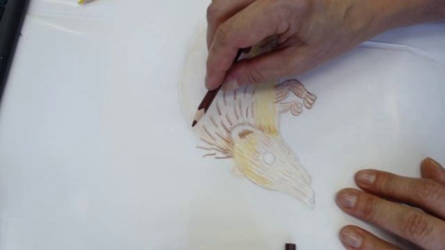 Рисуем ёжика карандашами 28 июня 2022.mp4