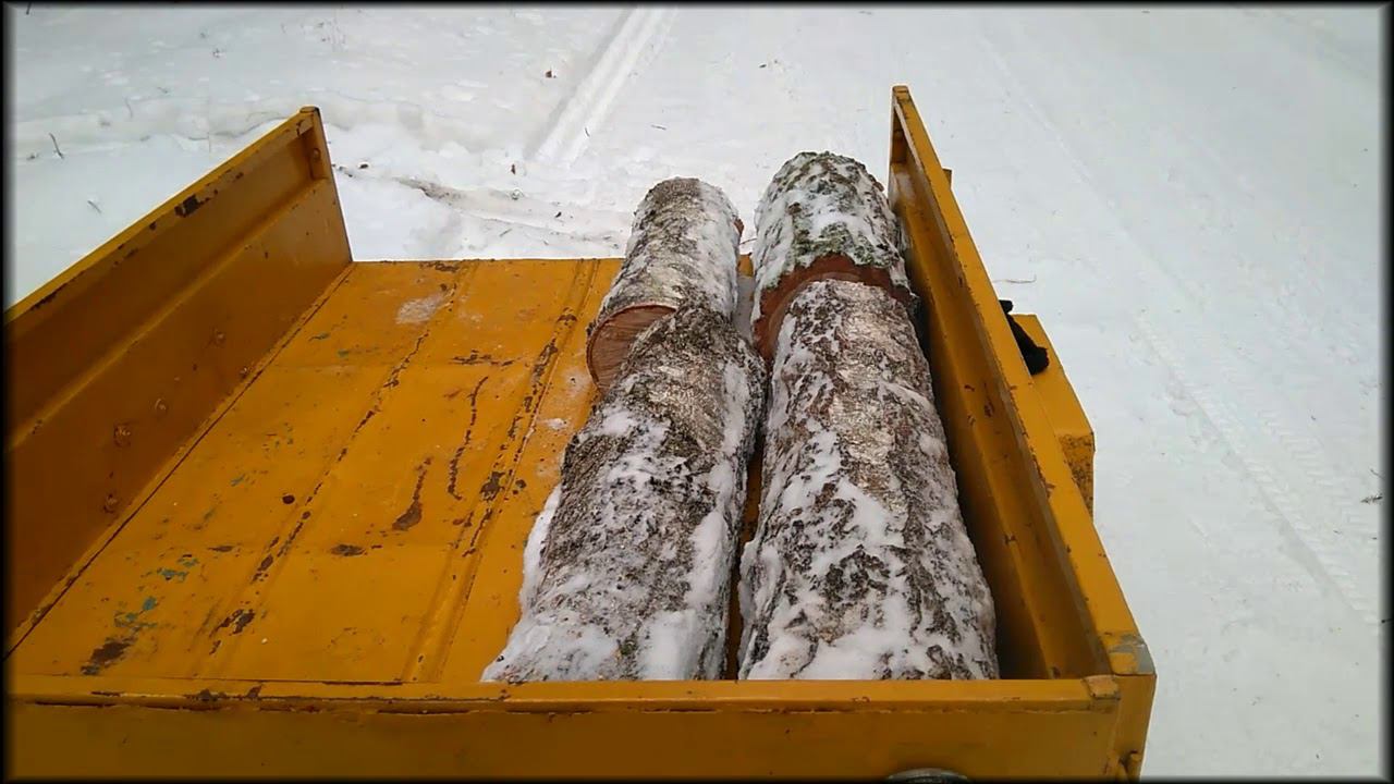 Как я собирал валежник в январе 2019 г.