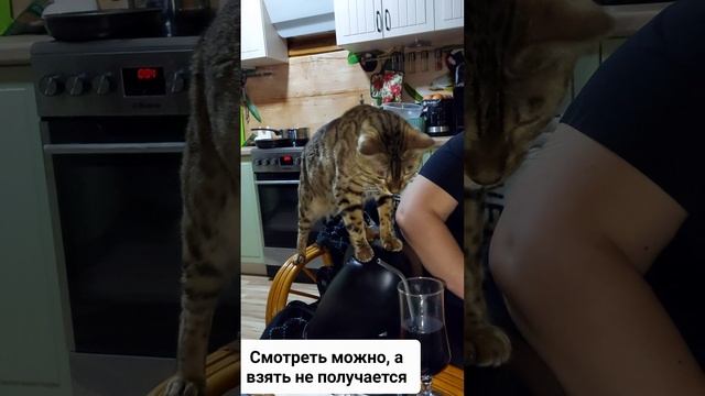 Антивандальная трубочка