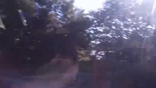 VID_20220706_212828.mp4