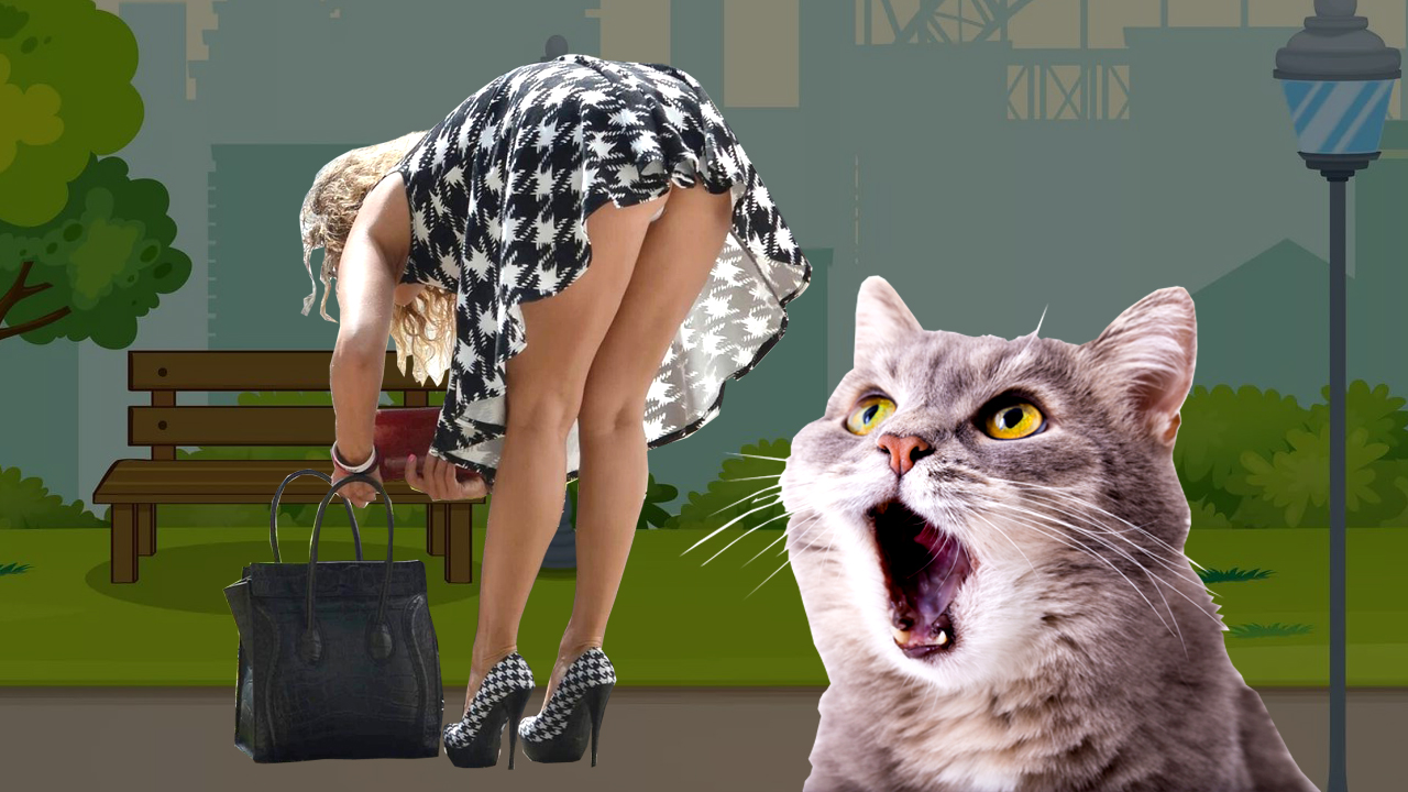 КОТ ОТЛИЧНО ИГРАЕТ НА БАРАБАНЕ. МИЛЫЕ, ЗАБАВНЫЕ ЖИВОТНЫЕ.