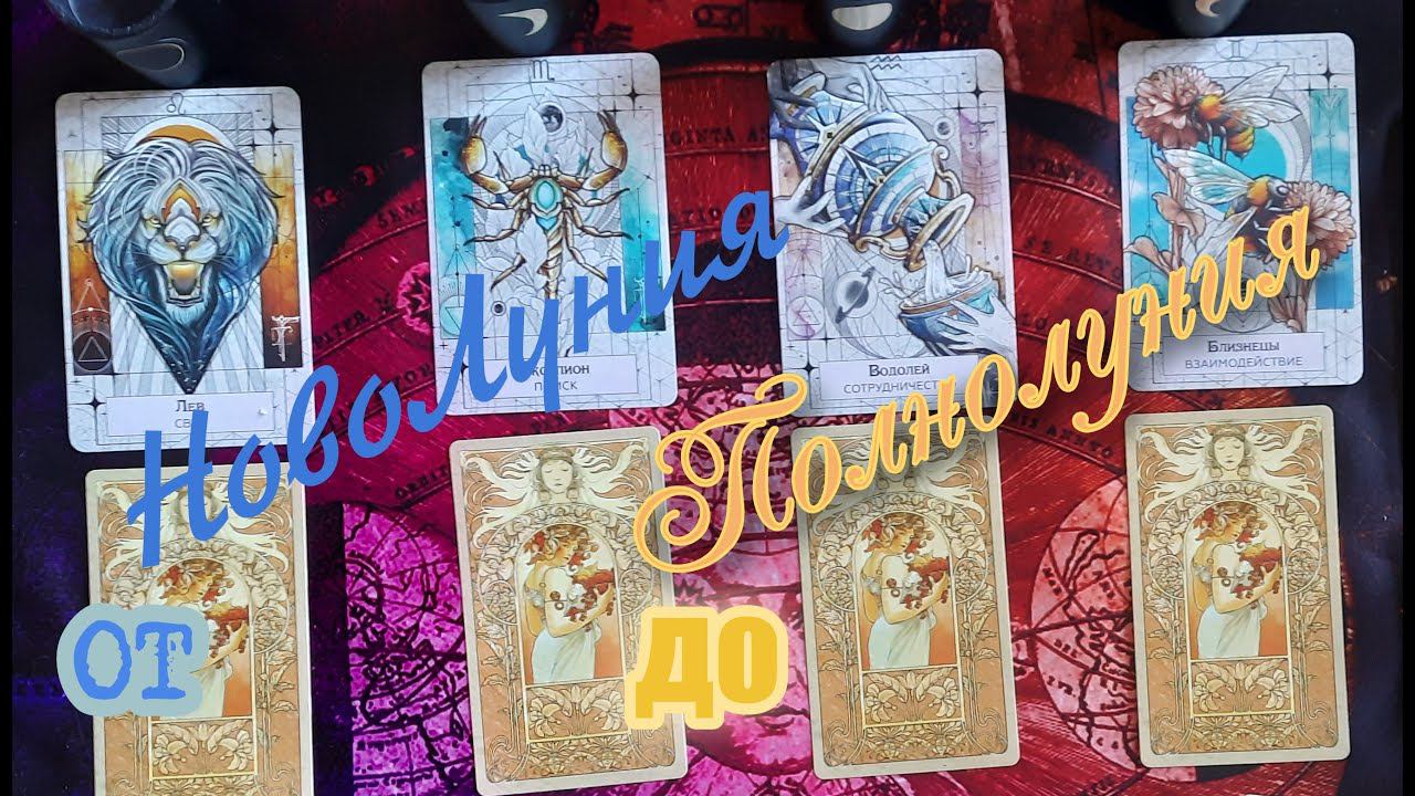 от Новолуния до ПолноЛуния - таро-прогноз на Август #тарологелвита #фазылуны #прогнознаавгуст