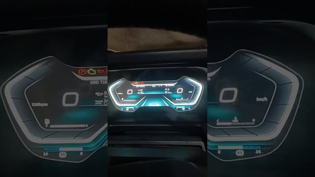 X6000 Shacman как сбросить суточный пробег и одометр