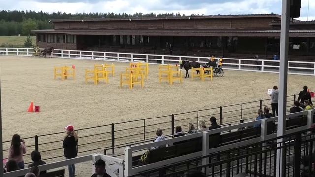 20190720 Иваново поле 2019. Драйвинг (соревнования конных упряжек)