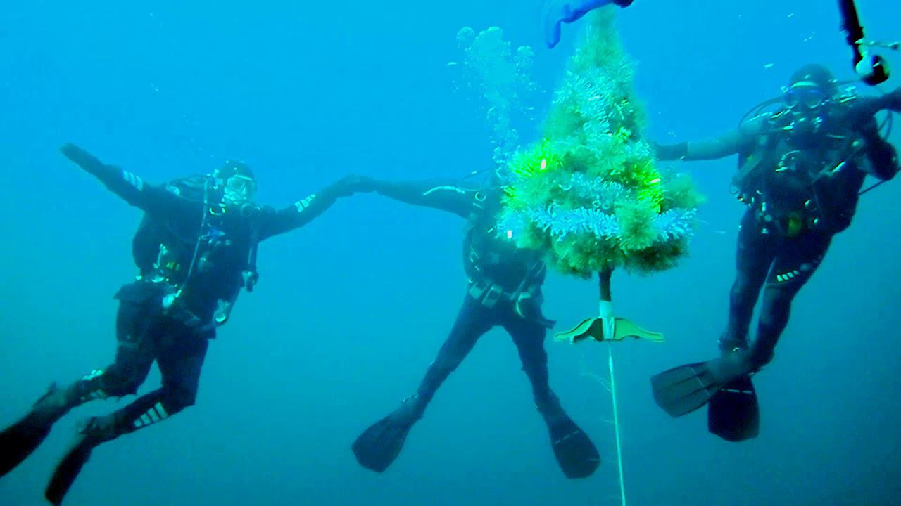 Аква-ёлка на Байкале