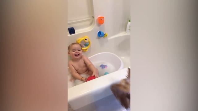 Домашние животные, заставляющие детей Смеяться!