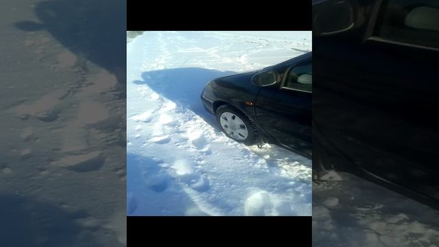 психам дорогу