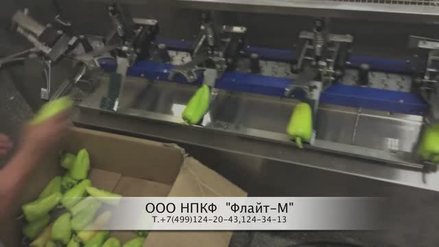 Машина для удаления сердцевины перца перед переработкой