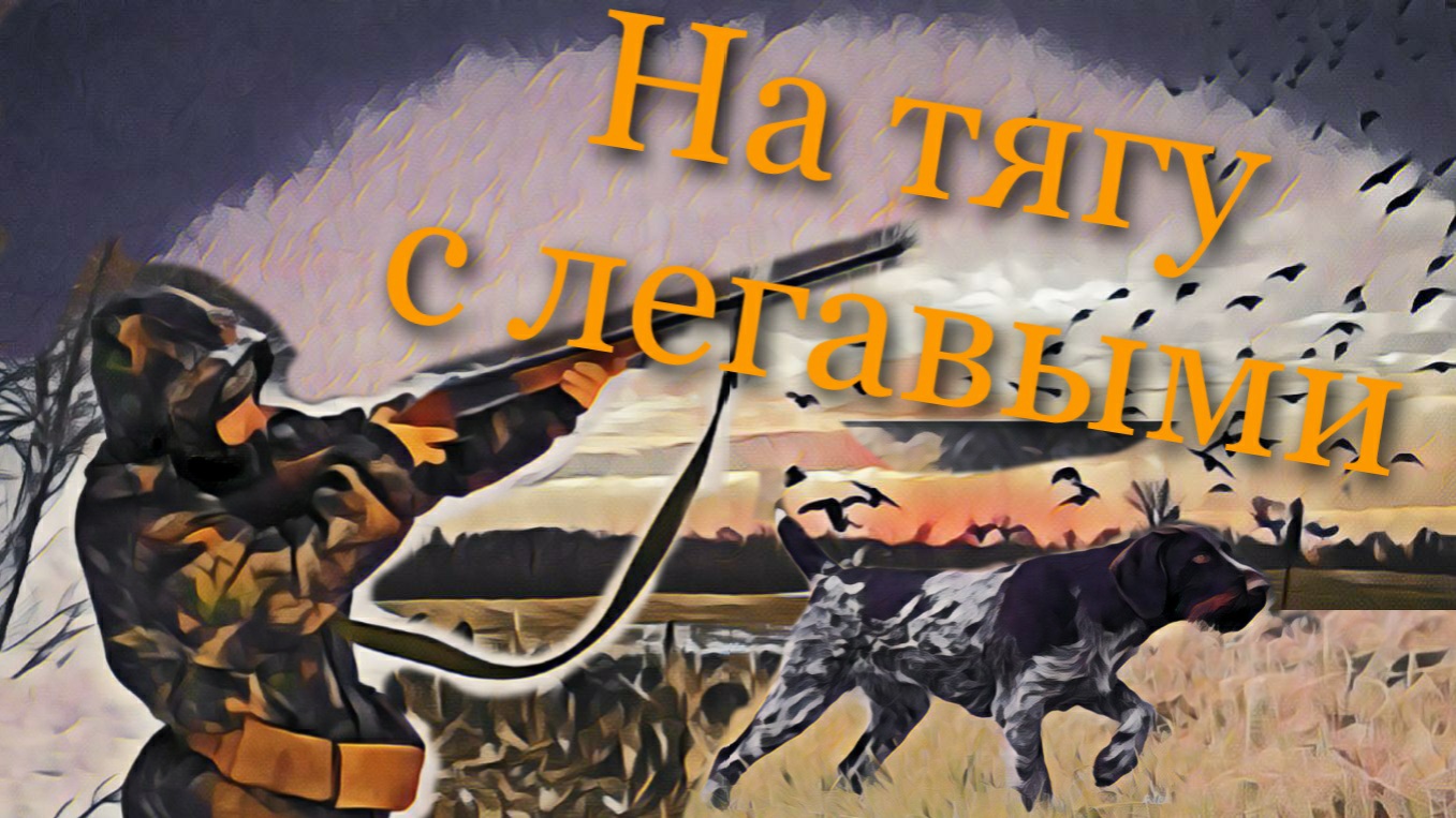 Охота на вальдшнепа весна 2022г, с молодыми легавыми...