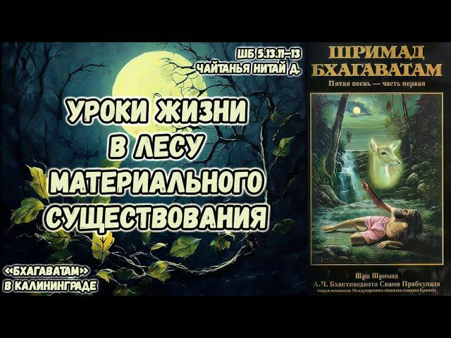 Уроки жизни в лесу материального существования. Чайтанья Нитай д. ШБ.5.13.11–13
