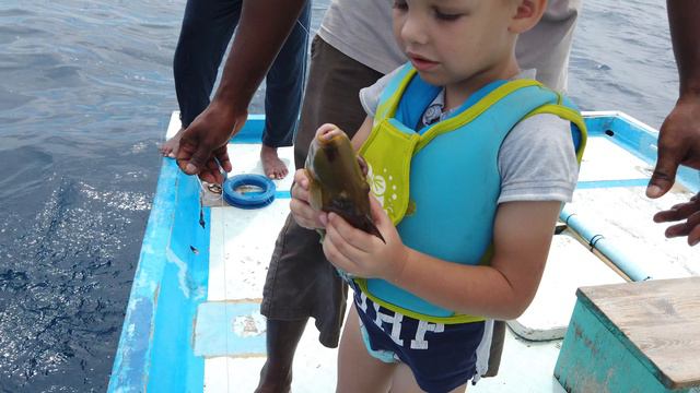 Рыбалка на Мальдивах. Hanimaadhoo