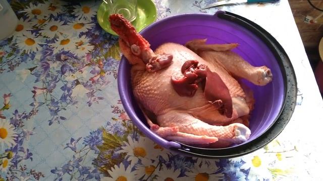 Первый забой бройлеров в два месяца. The first slaughter of broilers in two months. (1).mp4