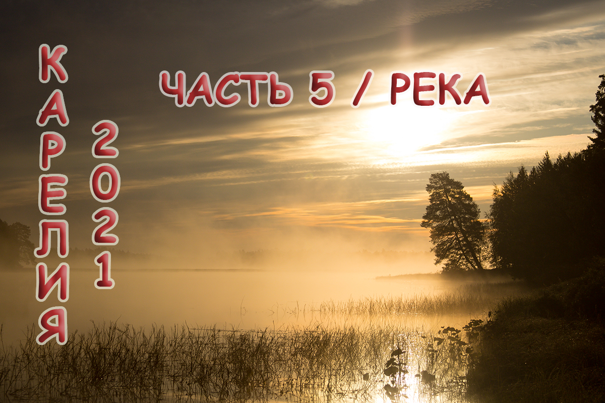 Карелия 2021/ 5 часть/ РЕКА