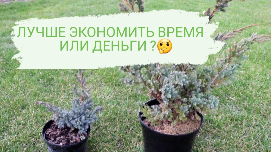 ЛУЧШЕ ЭКОНОМИТЬ ВРЕМЯ ИЛИ ДЕНЬГИ? ?
