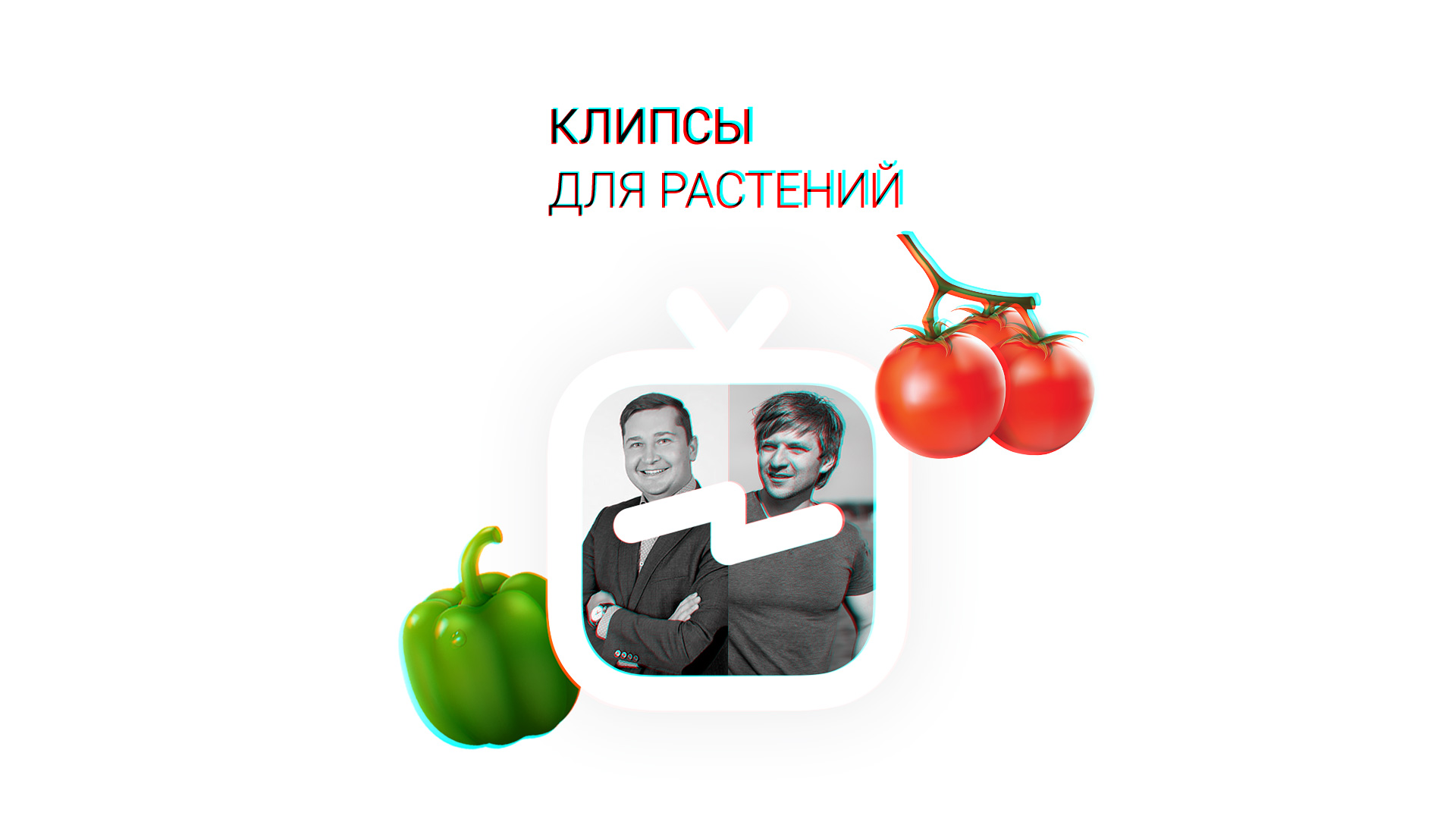 ? Клипсы для тепличных растений. Интервью #ВнеПоляСвета