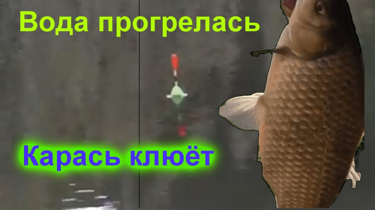 Рыбалка в Мае на карася! Карась клюёт отлично 20 Мая часть №2