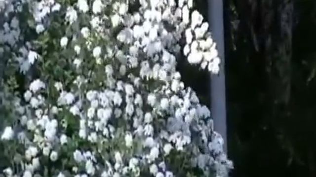 И в лужах плывут облака....mp4