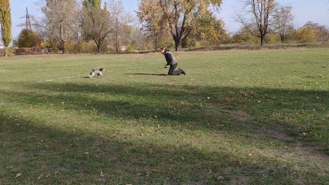 Frisbee-Манія 2018 Ольга и Ника.mp4