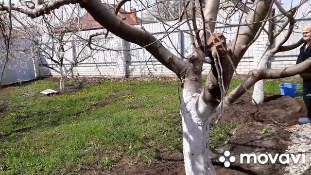 10 апреля. Косим, сажаем, цементируем и т.д. и т.п. 😀.mp4