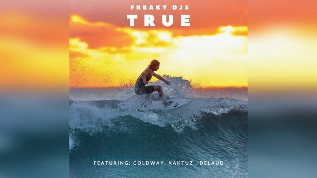Freaky DJs - True (feat. Coldway, KaktuZ & Delaud)