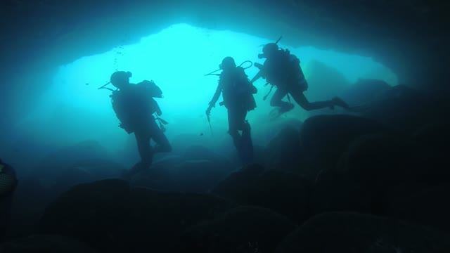 Дайвинг Азорские острова Diving Portugal