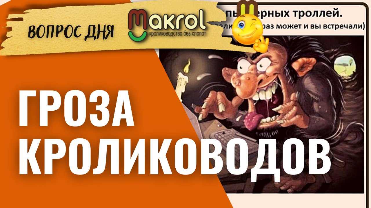 ?? Вольерное содержание кроликов и троллинг #Макрол #Макляк