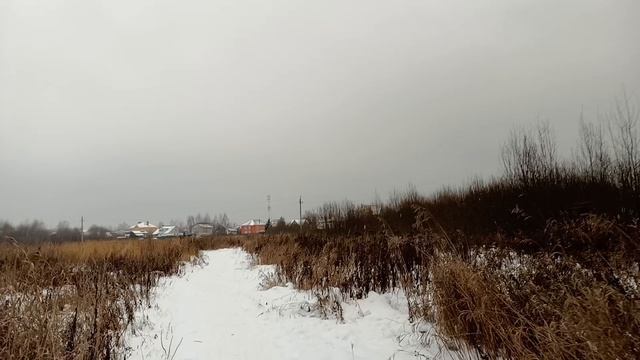 VID_20221209_141256.mp4