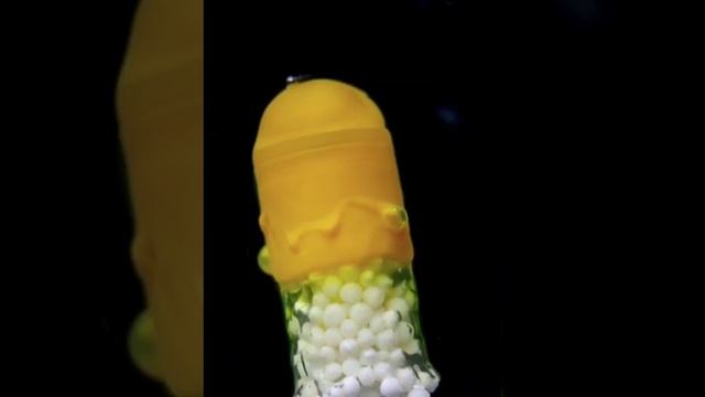 VID_20221218_205552_444.mp4