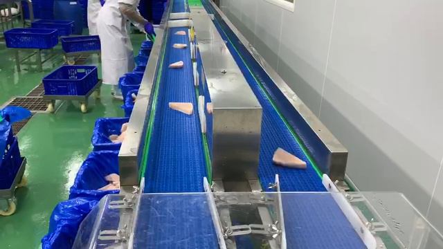 Весовой сортировщик ВЕСТАЛИНК - филе тунца, 2 потока