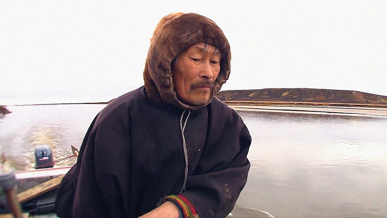 Полярные истории: "Последний зверобой"