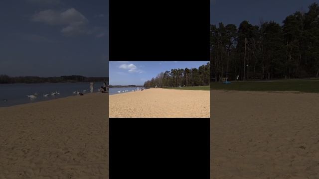 Вело offroad #shorts