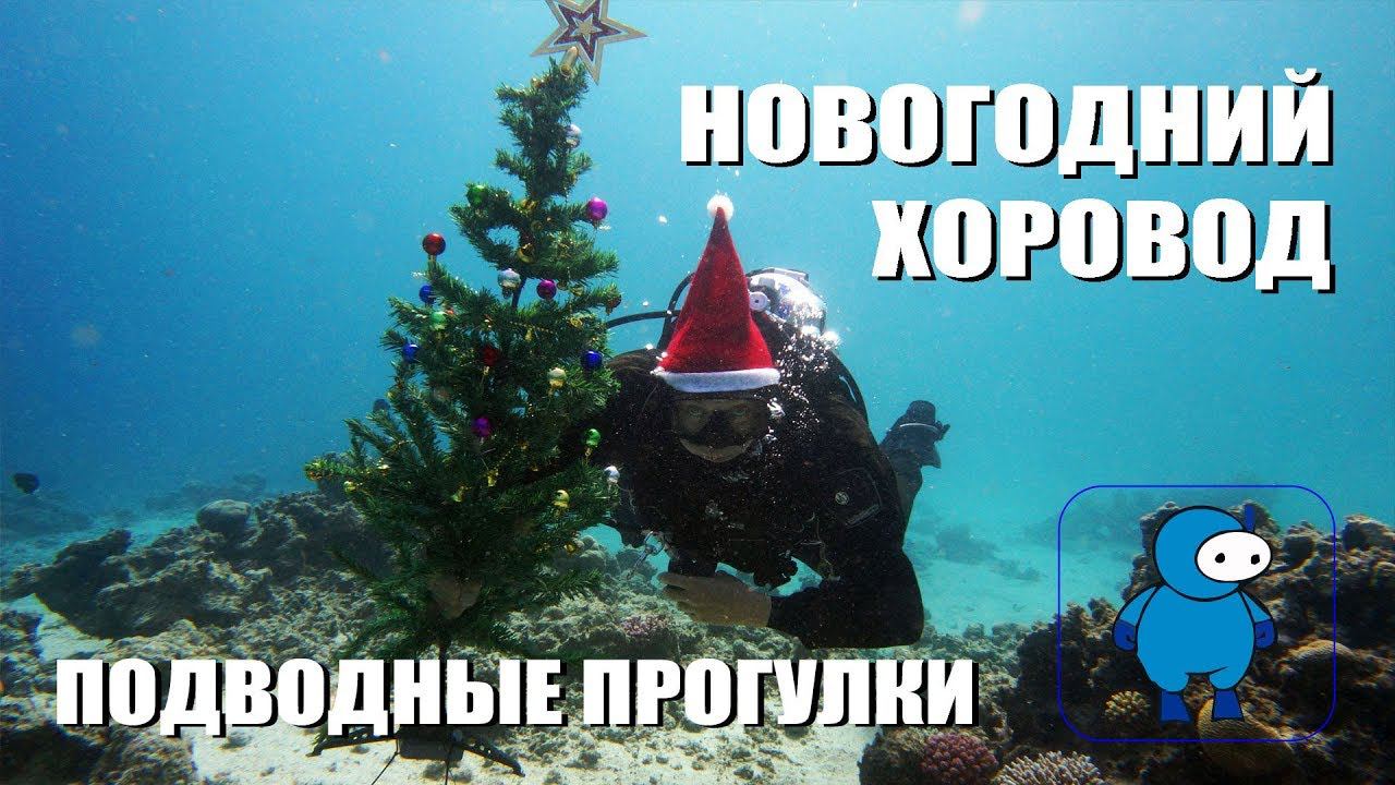 Новогодний хоровод