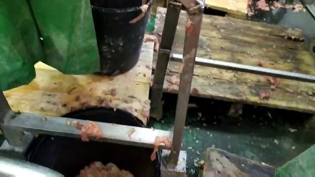 На каком-то консервном заводе.