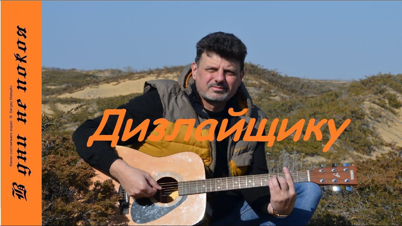 Дизлайщику