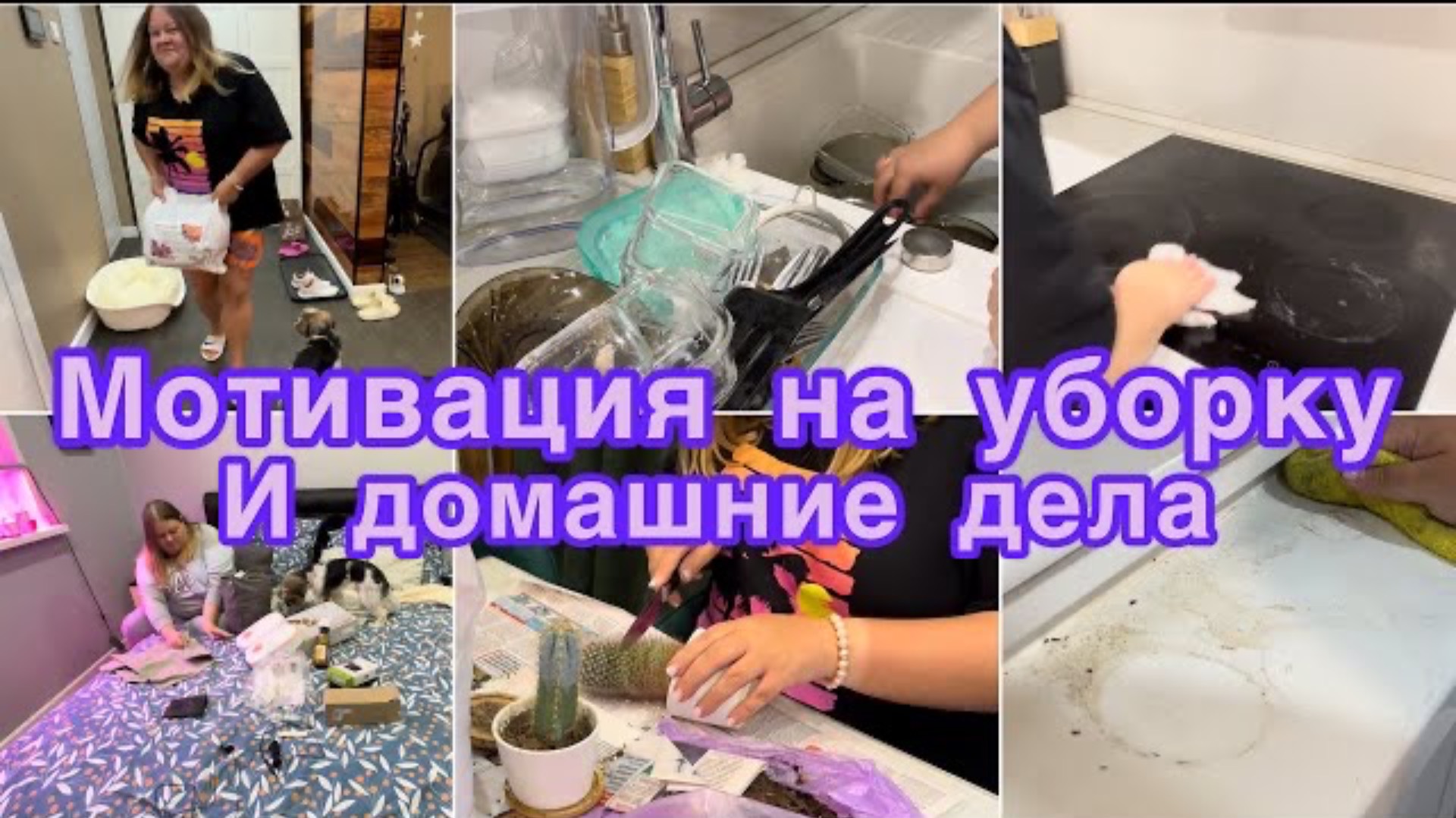Мотивация на уборку и домашние дела | Кактусы | Пересадка растений | Распаковка | Чистота в доме 💎