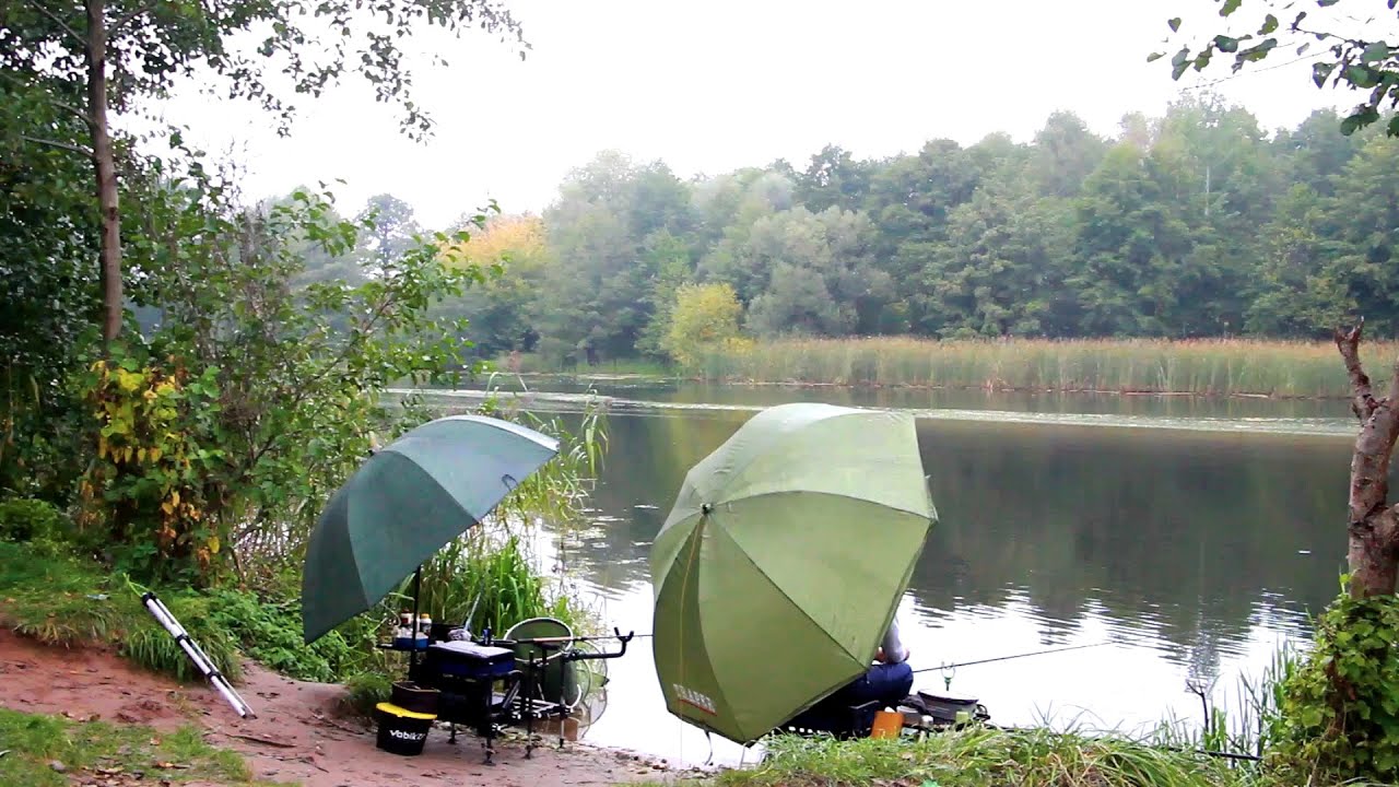 ЛОВЛЯ ПОДЛЕЩИКА НА ФИДЕР 2021. Рыбалка на ФИДЕР Осенью. ФИДЕРНАЯ ЛОВЛЯ на РЕКЕ!