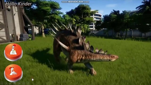 Кентрозавр aethiopicus  shorts