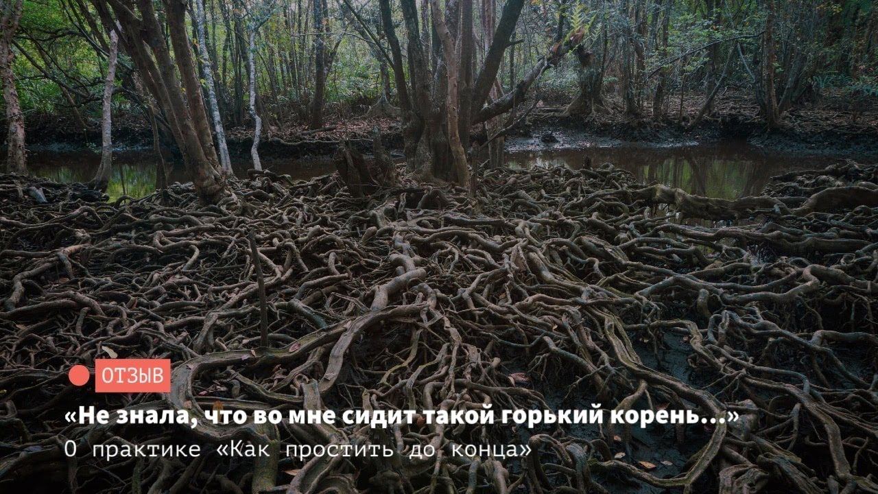 Как простить до конца