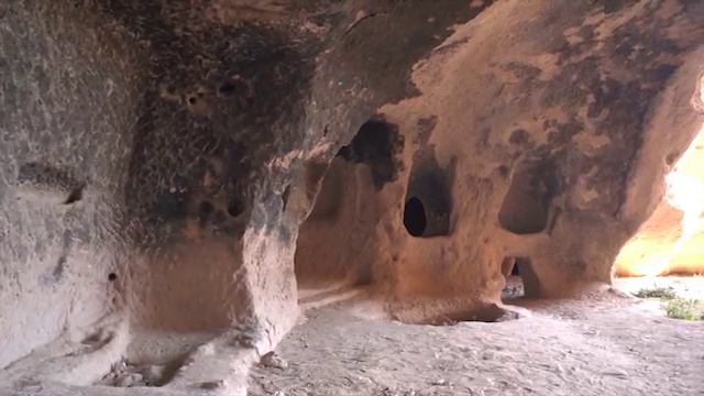 beehive5-culture-video-unit-9