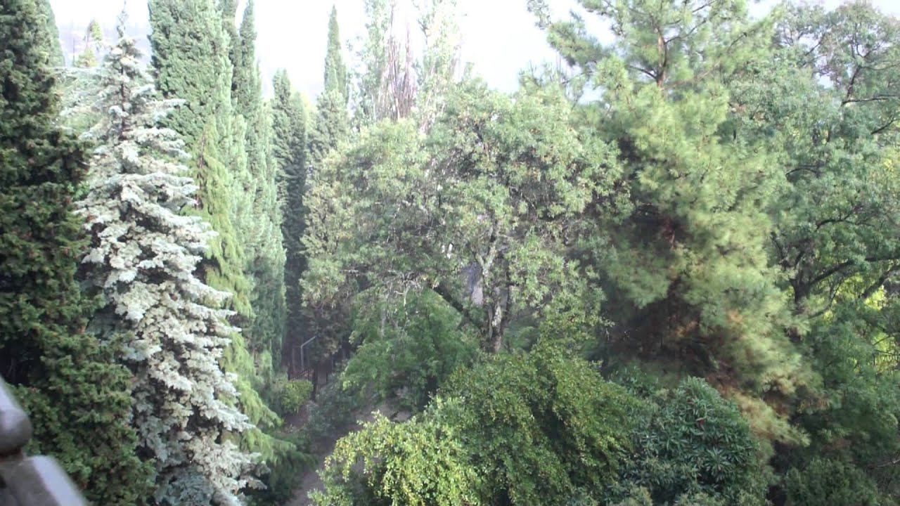 Сентябрьский дождь в Крыму